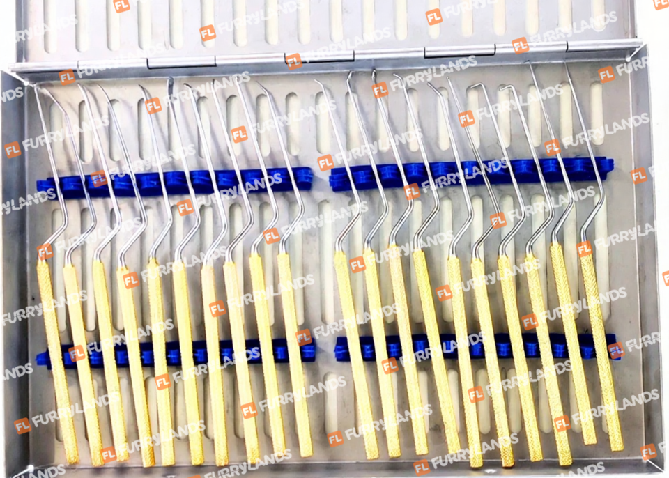 Rhoton Bayonet Micro Dissector Set 20 Pcs with Golden Handles ...