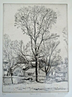 Frank Stack Signed Tree in Spring Etching (Robert Crumb contemporary ...