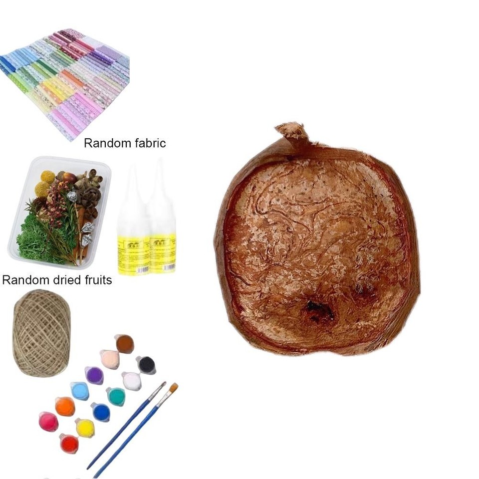 Bean Pod DIY Material Pack Vine Pod DIY Plant Ugly Cute Material Package Lot N0 | eBay