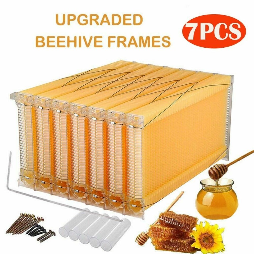 Auto Shed Bee Hives Wooden Bee Boxes Super Brood Beehive + 7 Beekeeping ...
