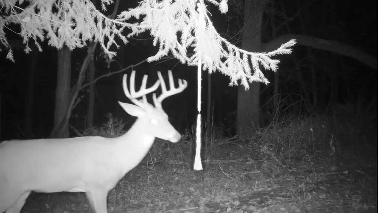 ROPE SCRAPE SYNTHETIC BUCK URINE, (DEER LURE, ATTRACTANT, DEERSCENT) | eBay