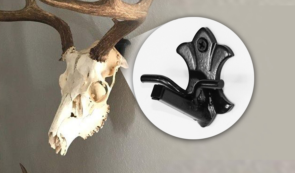 The "Buck Bracket" European Deer and Anteope Skull Hanger, Euro Mount Hooker USA | eBay