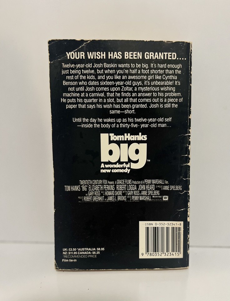 BIG by B.B. Hiller & Neil W. Hiller 1988 book Tom Hanks Paperback | eBay