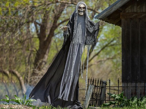 6ft Standing Skeleton Reaper Prop Halloween Haunted House Animated Life ...