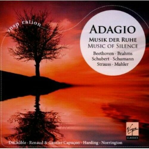 Adagio:Music Of Silence (CD, 2012) | Compra online en eBay