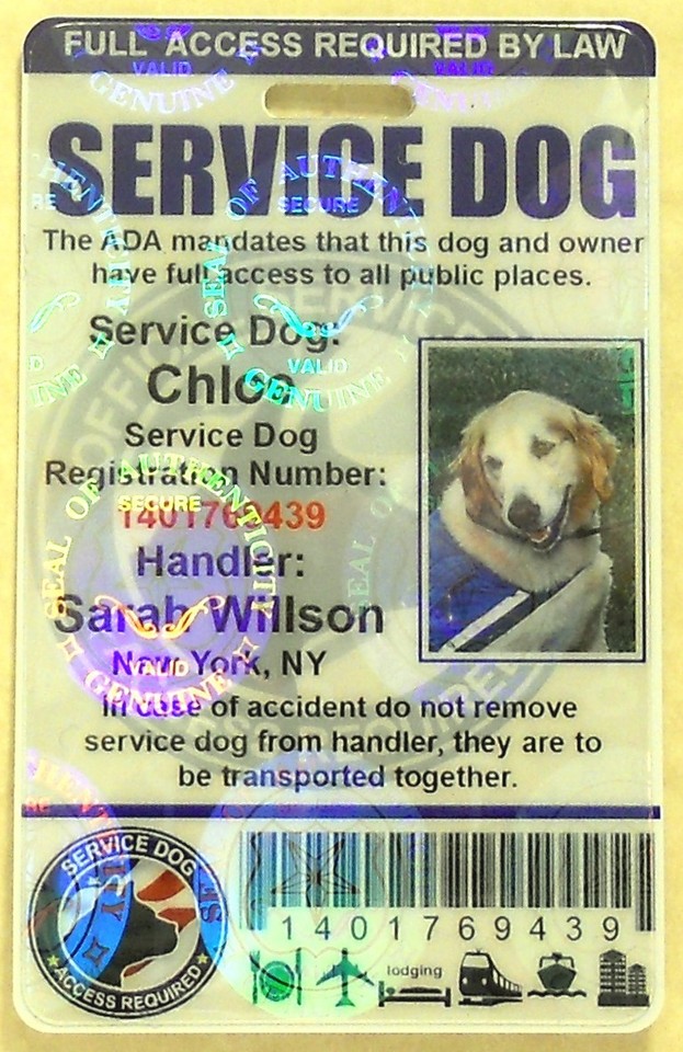 HOLOGRAPHIC SERVICE DOG ID CARD FOR SERVICE ANIMAL ADA RATED 0BH | eBay