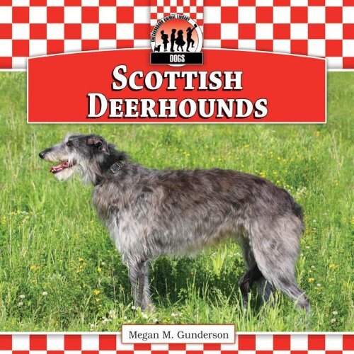 Gunderson Megan M-Scottish Deerhounds HBOOK NEUF 9781617835926 | eBay
