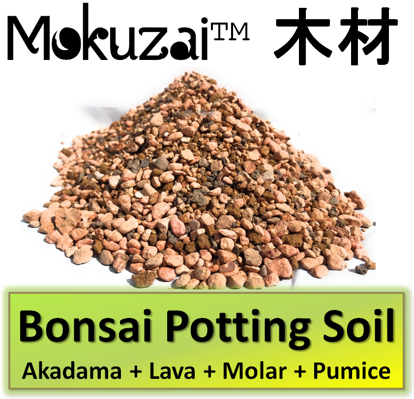Bonsai Trees Soil Potting Mix: Akadama, Pumice, Molar & Lava - Pot ...
