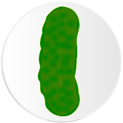 Pickle - 25 Pack Circle Stickers 3 Inch | eBay