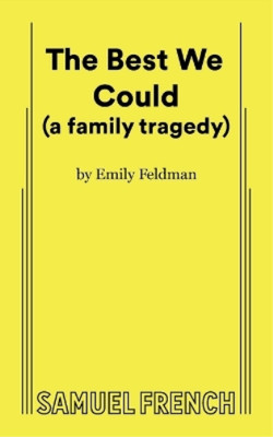 Emily Feldman The Best We Could (a family tragedy) (Poche) | eBay