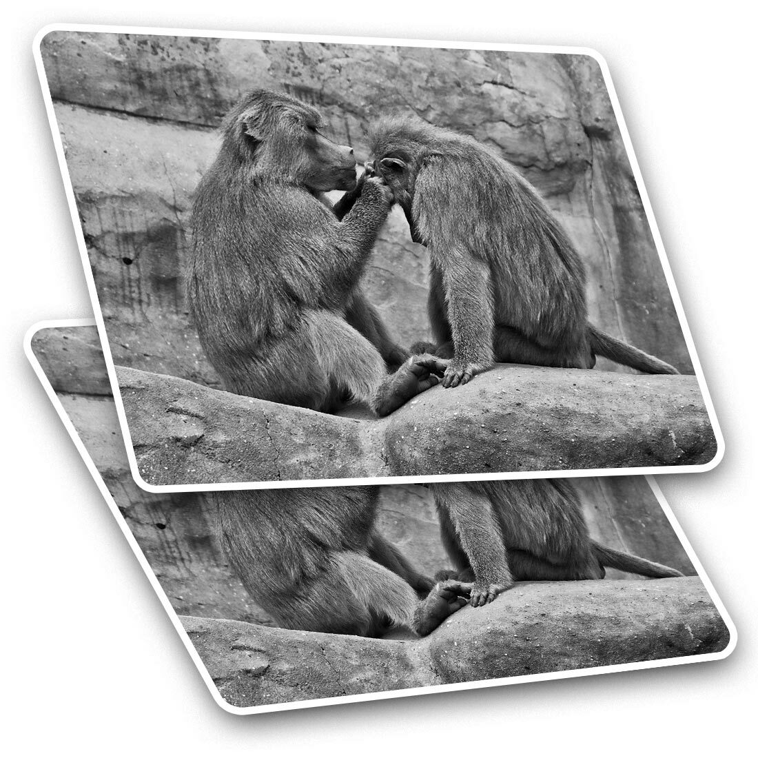 2 x Rectangle Stickers 7.5 cm - Hamadryas Baboons Monkey Cool Gift ...