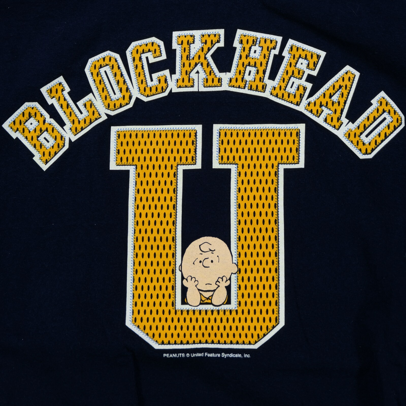 Rare Vintage PEANUTS Charlie Brown Blockhead U Spell … - Gem