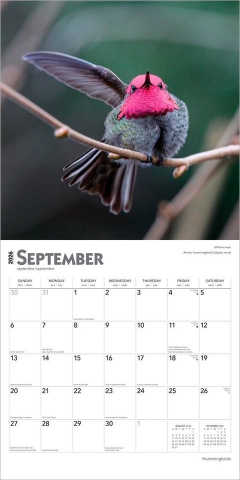Hummingbirds | 2026 12x24" Square Wall Calendar | Plastic-Free | eBay