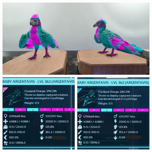 ARK ASCENDED PVE OFFICIAL PAIR BABY ARGY COTTON CANDY HIGH STATUS PS5 ...