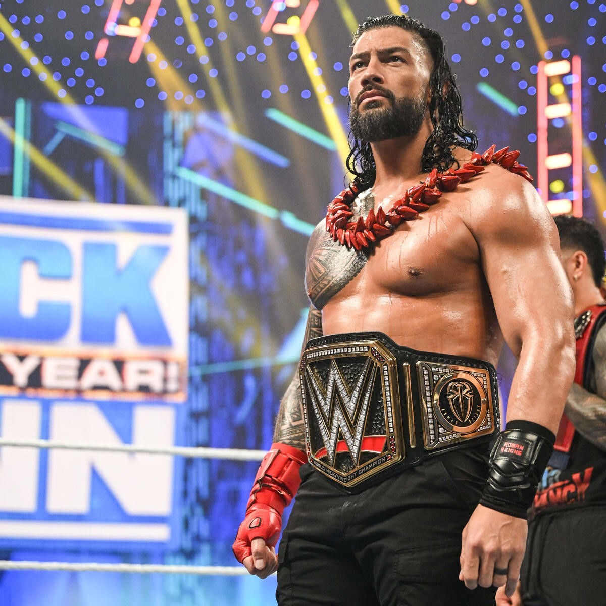Roman Reigns Nxt Top Five Talking Points From WWE NXT Vengeance Day