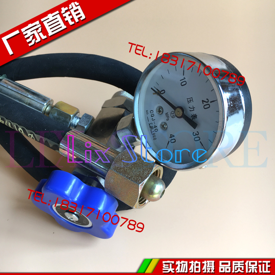 Shearing machine bladder accumulator nitrogen gas filling valve CQJ-16 ...