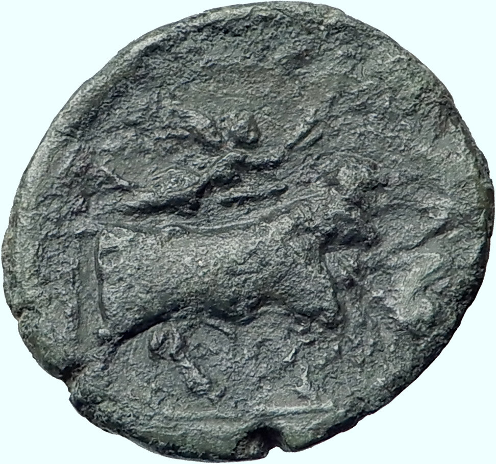 NEAPOLIS in CAMPANIA 270BC Nike Apollo Man-Headed Bull Ancient Greek ...