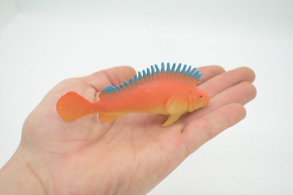 Red Snapper Toy, Realistic Rubber Fish, Figure, Model, Replica 4 1/2 ...