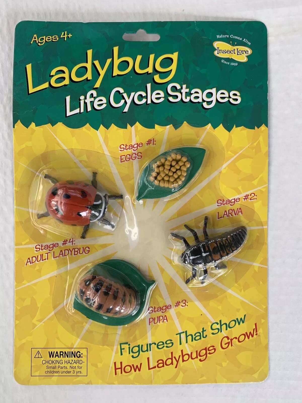 Ladybug Life Cycle Stages Models Figures Insect Lore Education | eBay