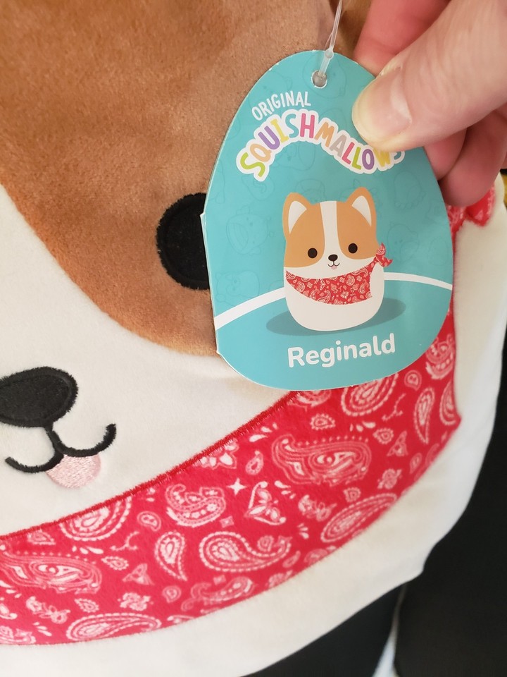 Squishmallow 12" Reginald The Corgi Red Bandana | eBay