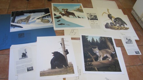 Lot/5 HARRY ANTIS PRINTS GALLERY OF N AMERICAN WILDLIFE S/N 177 BEAR ...