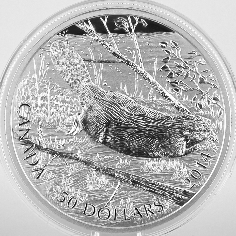 Canada 2014 $50 Swimming Beaver - 5 Troy Oz. Pure Silver Uncirculated ...