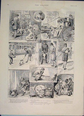 Original Old Antique Print Adventures Jim Dog Pet 1889 19th Century | eBay