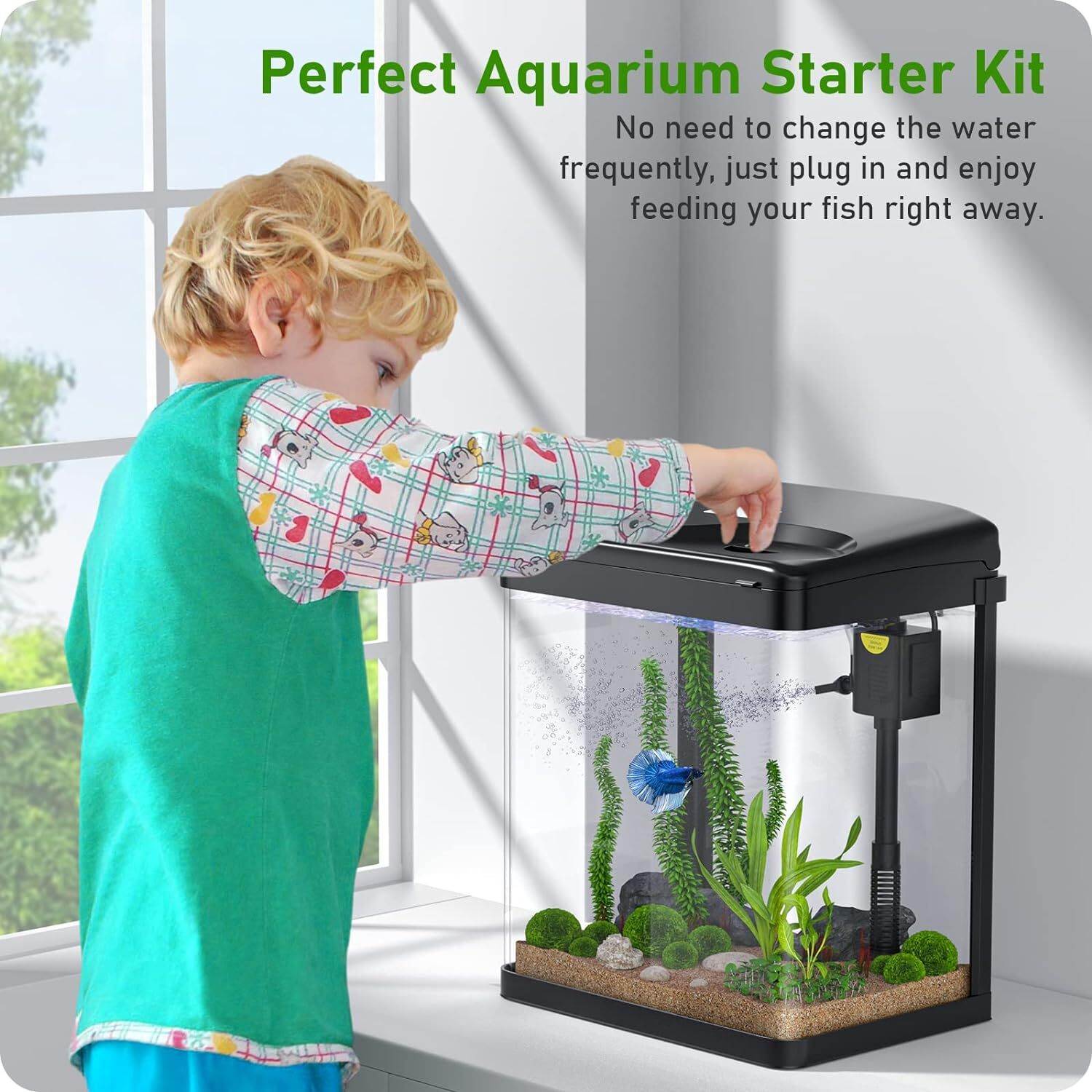 Betta Fish Tank, 2 Gallon Glass Aquarium, 3 in 1 Fish Tank with 2 ...