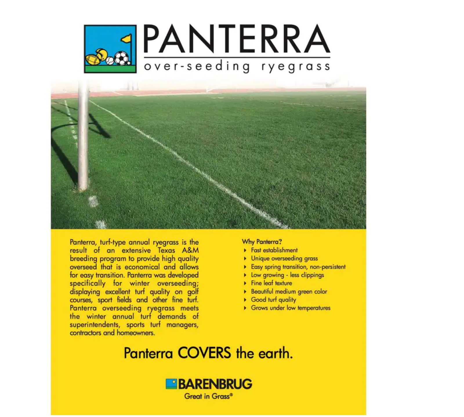 Barenbrug 50 lb. Panterra V Over Seeding Annual Rye Grass Seed Turf ...