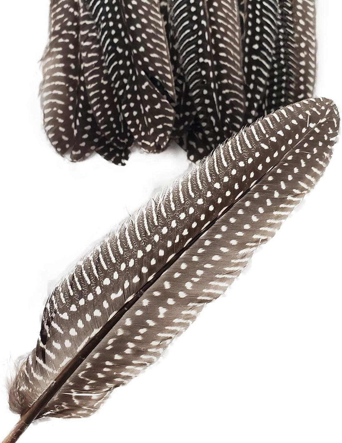 6-9 Inch Natural Guinea Wing Plumage Feather for DIY Craft, Jewelry and ...