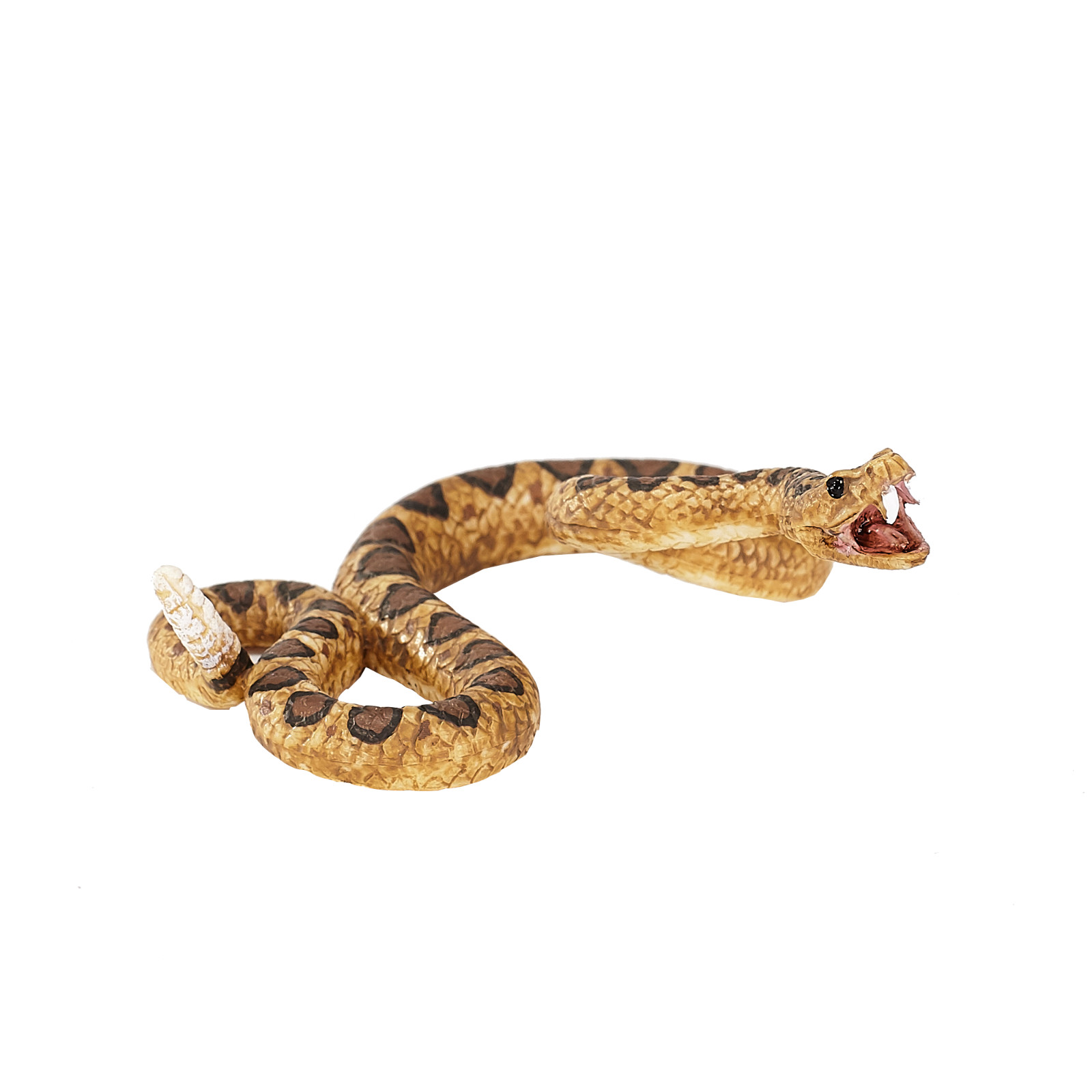 .Mojo RATTLESNAKE Wild zoo animals play | Grelly UK