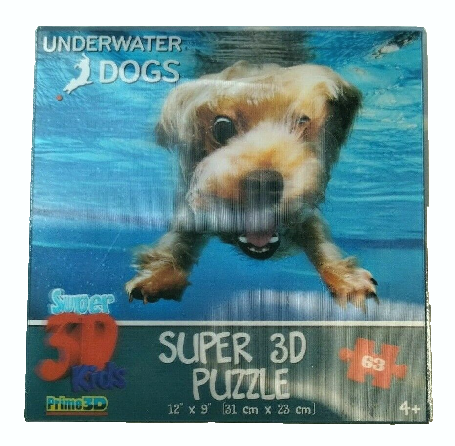 Underwater Dogs Big Dog, Little Dog By Seth Casteel | Paper Plus