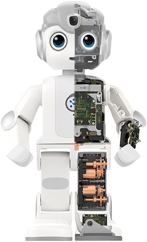 UBTECH ALPHA-MINI HUMANOID ROBOT | eBay