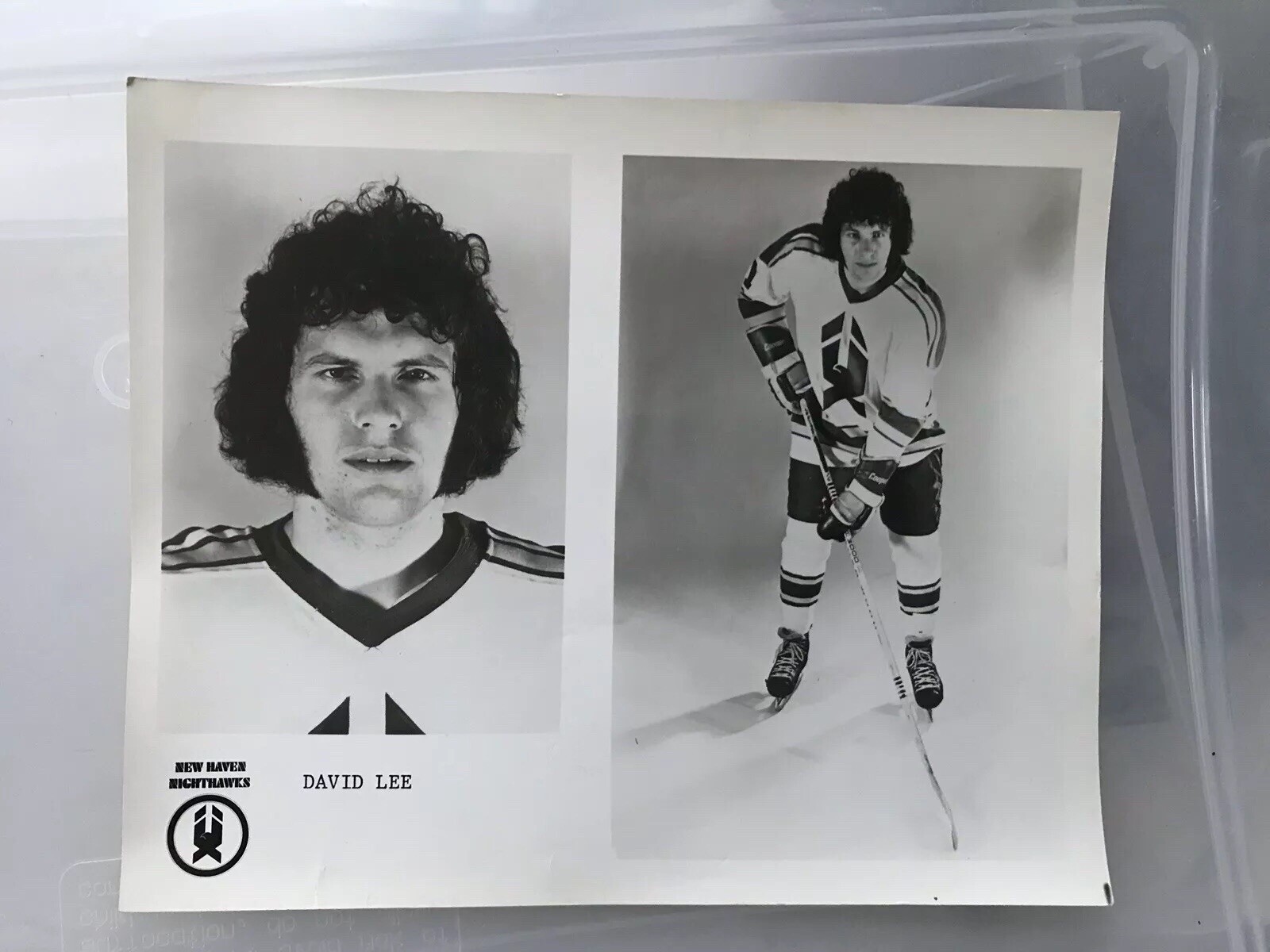 New Haven Nighthawks Hockey 8x10 Photo David Lee | eBay