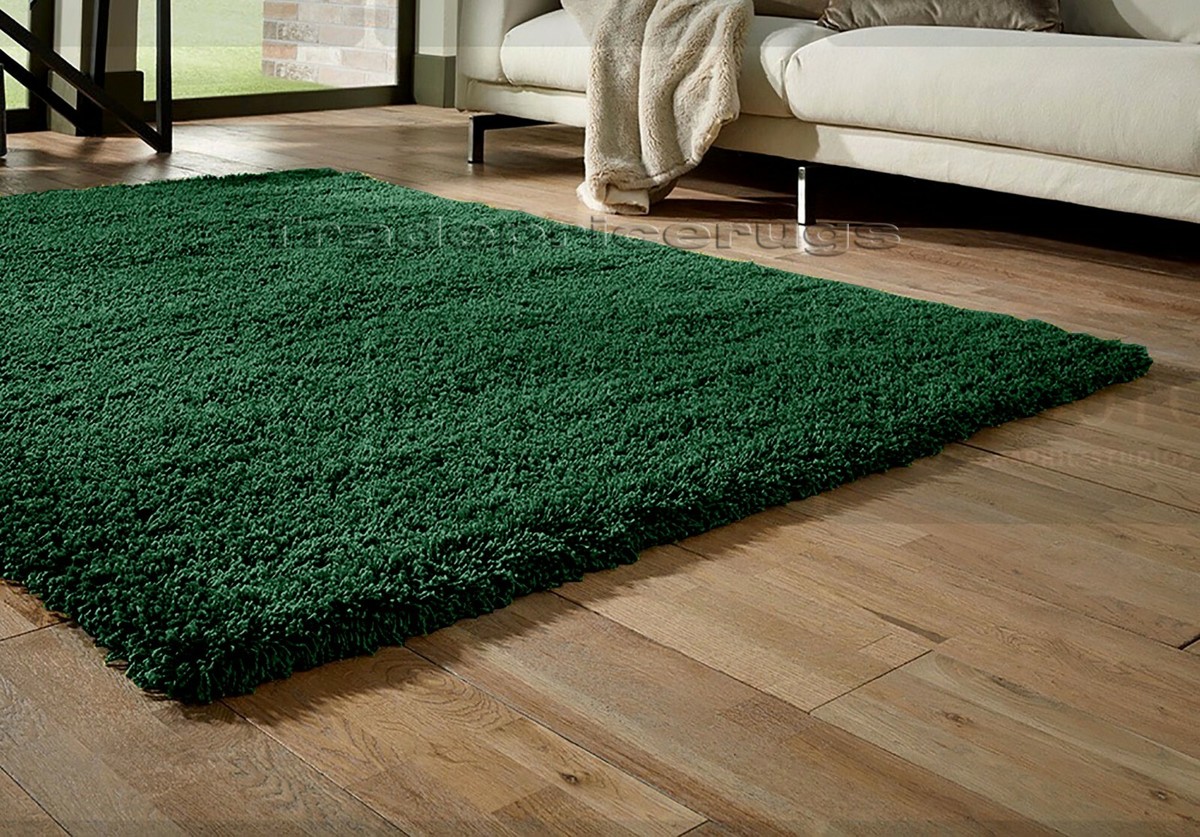 Forest Green Rug Living Room