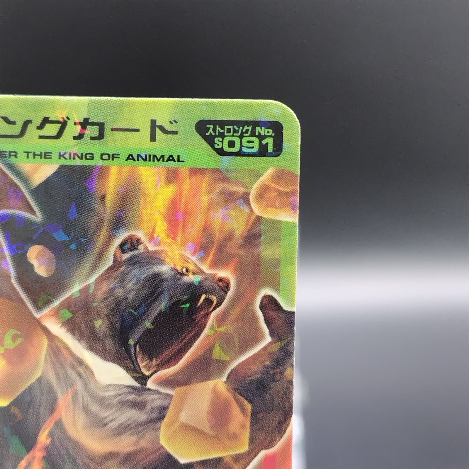 Rage Explosion Animal kaiser Holo Card Japan Japanese 2009 BANDAI S-091 ...