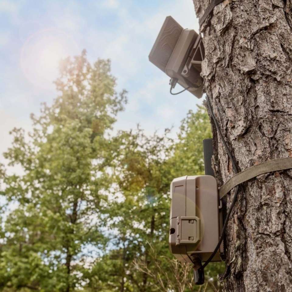 Moultrie 3.4 Watt Solar Power Pack for Trail Cameras - 3350mAh Battery ...