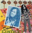 David Lindley Mr. Dave (1985) [LP] | eBay.de