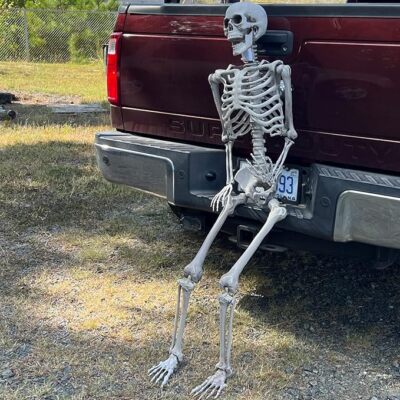 Halloween Horror Skeleton Model Life Size Human Skeleton Party Prop ...