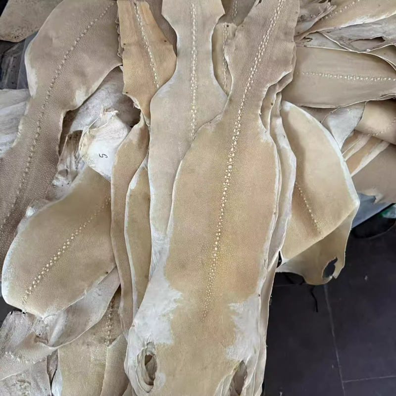 1PCS Unpolished Stingray Shagreen Fish Hide Skin Leather DIY Pelt ...