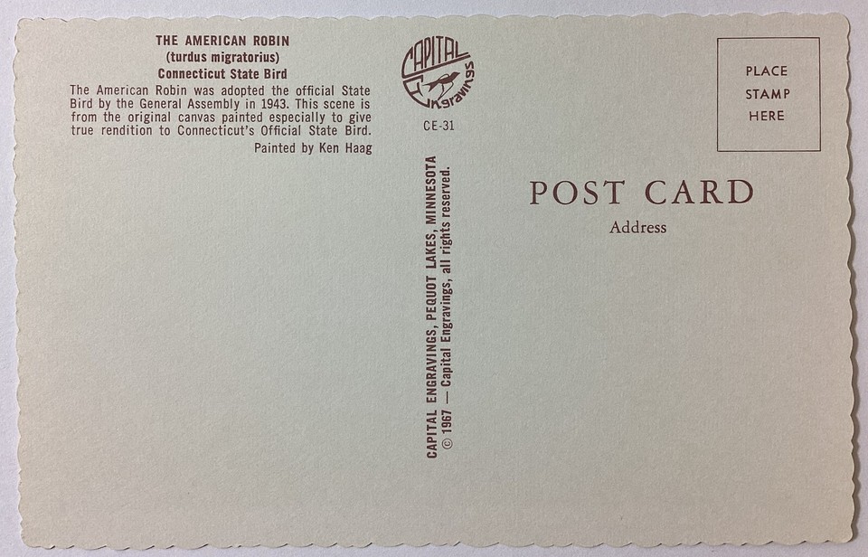 American Robin Connecticut State Bird Artist Ken Haag VTG 1967 Postcard ...