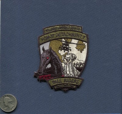 HSM-37 Easyriders Det 7 Pâle Pilotes Ddg 110 US Marine Hélicoptère ...