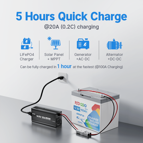 Redodo 12V 100Ah Group 24 LiFePO4 Lithium Battery 100A BMS Grade A ...