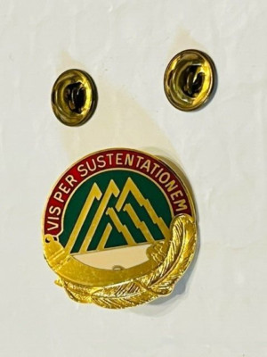 US Military Insignia Pin DUI - 70th Support Battalion - Vis Per ...