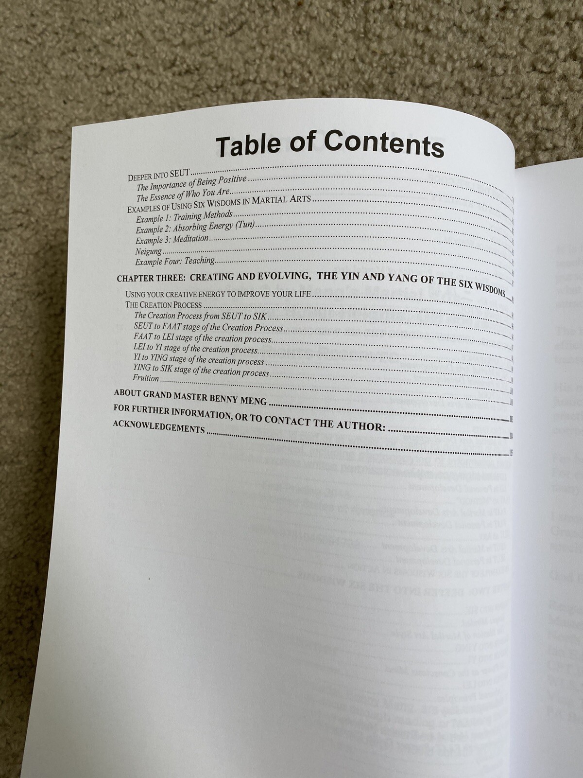 Unlocking the Wing Chun Code: Six Levels of Reality for Max Efficiency ...