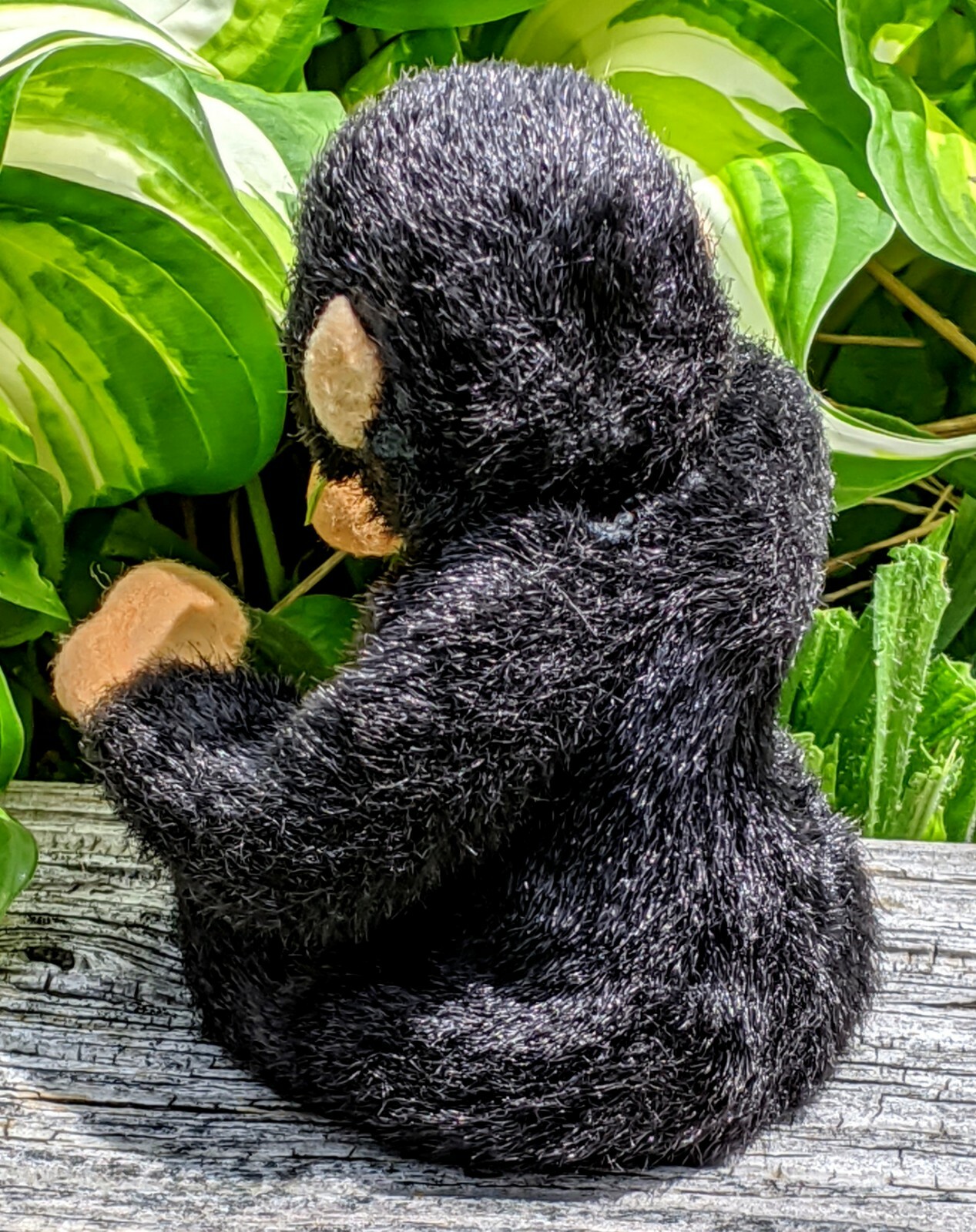 Antique Pre-war Miniature Mohair Steiff/Schüco Pincushion Monkey Toy ...