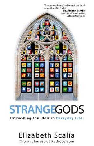 Strange Gods: Unmasking the Idols in Everyday Life - Paperback - GOOD ...