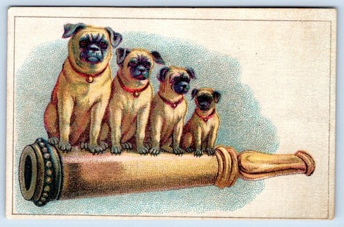 1880's 4 PUG DOGS ON A CIGARETTE HOLDER*GOODRICH & CO*OSWEGO NEW YORK ...
