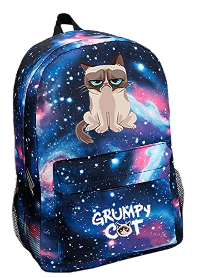 Grumpy Cat School