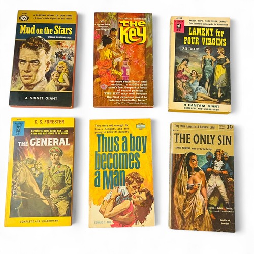 Lot of 6 Vintage Pulp Paperbacks Midwood Bantam Signet Drama Romance ...